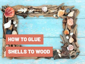 How To Glue Shells To Wood? - Gluetips